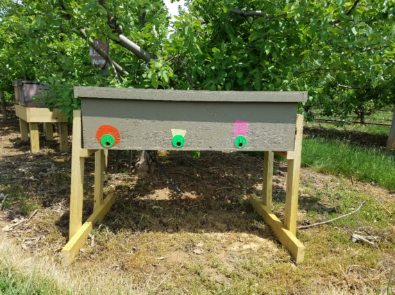 Photo Gallery - Western MD Apiaries - Bee Production & Beekeeping Store in Frederick, MD